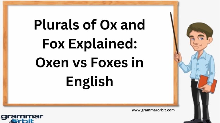 Plurals of Ox and Fox Explained: Oxen vs Foxes in English - Grammar Orbit