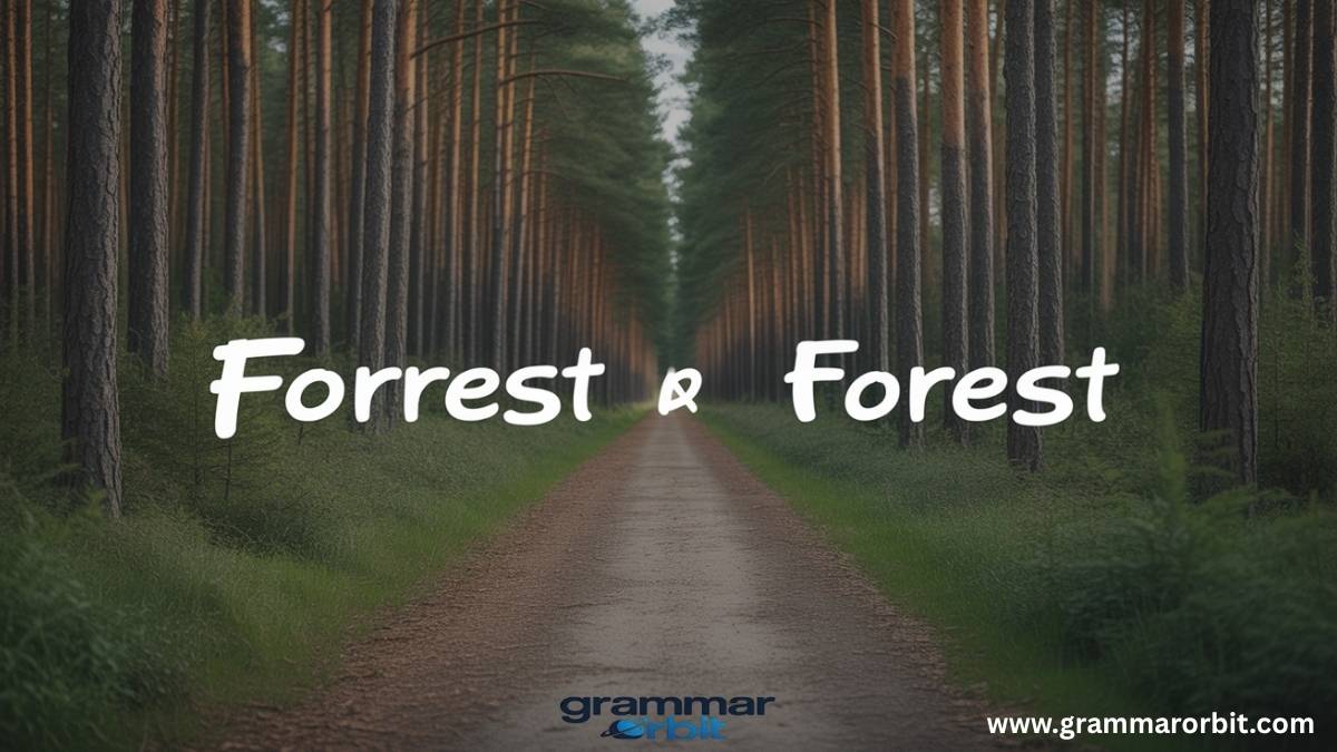 Forrest or Forest What’s the Difference? - Grammar Orbit