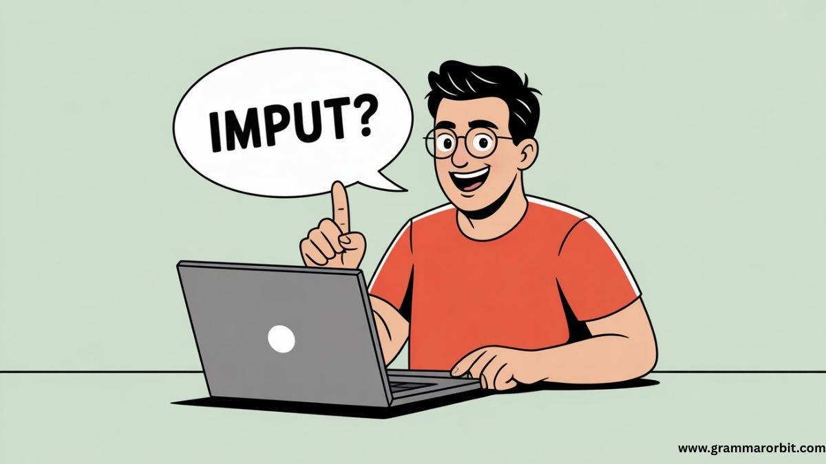 Input or Imput Which One Is Actually Correct? - Grammar Orbit
