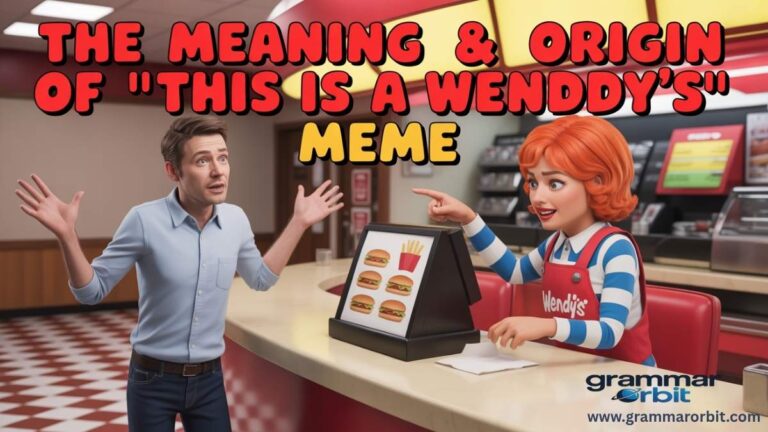 The Meaning & Origin of the “Sir This Is a Wendy’s” Meme - Grammar Orbit