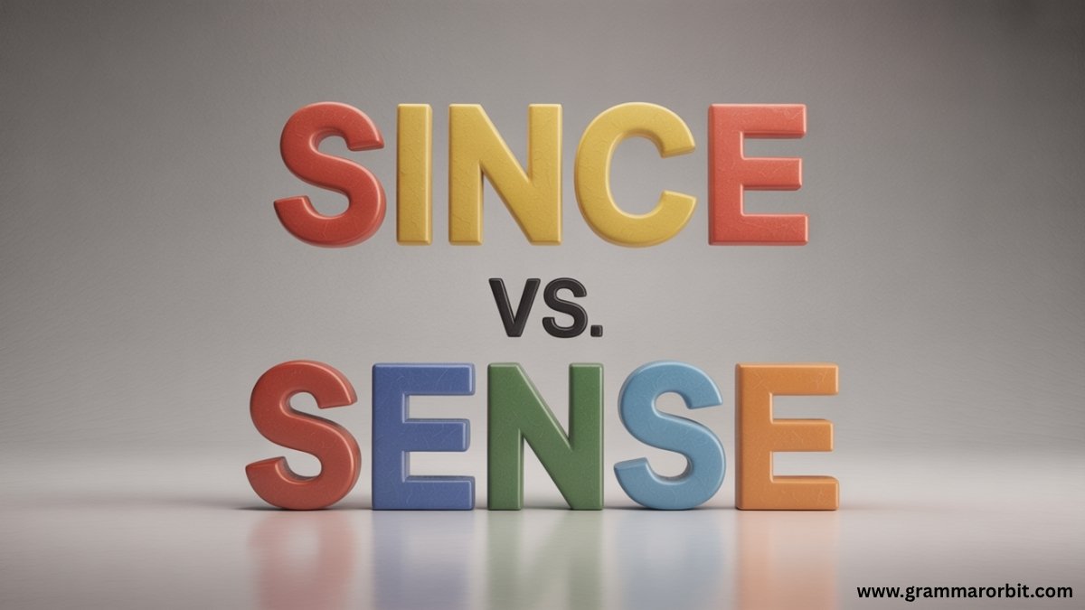 Since vs Sense The Ultimate Difference, Meaning - Grammar Orbit