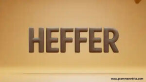Heffer Meaning Origin Examples and Usage - Grammar Orbit