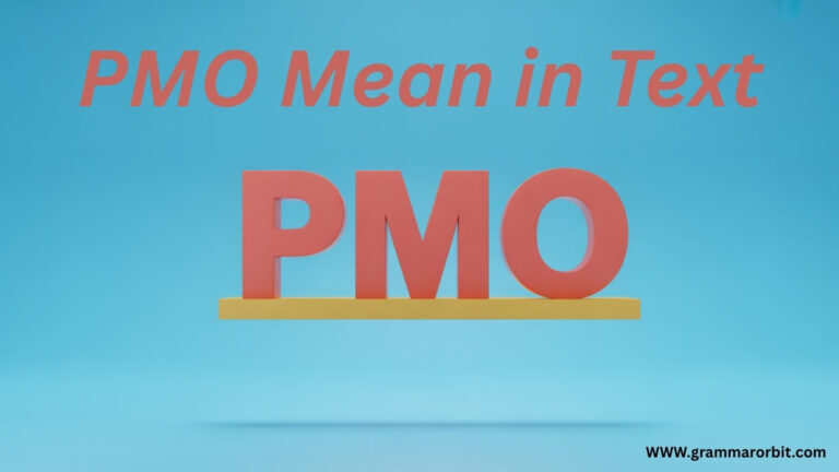 What Does PMO Mean in Text? A Complete Guide - Grammar Orbit