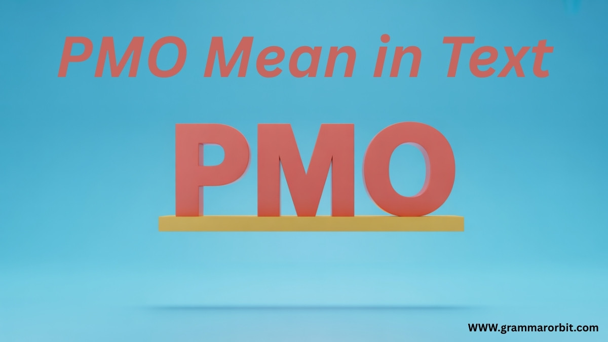 What Does PMO Mean in Text? A Complete Guide - Grammar Orbit